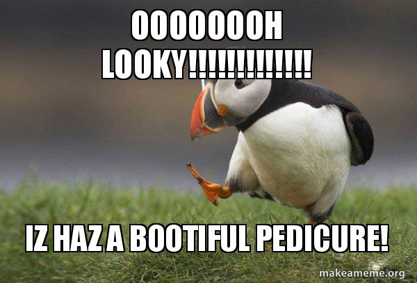 Oooooooh looky!!!!!!!!!!!!! Iz haz a bootiful pedicure! - Unpopular ...