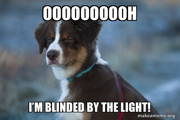Oooooooooh I’m blinded by the light! - Unsure Dog Meme Generator
