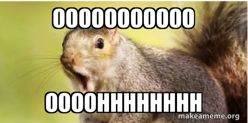 OOOOOOOOOOO OOOOHHHHHHHH - squirrel Meme Generator