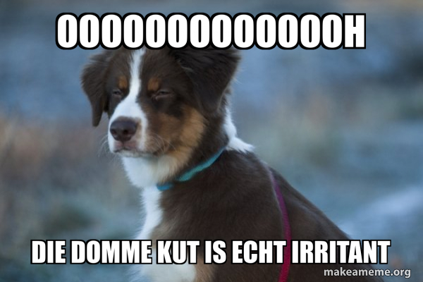 oooooooooooooh die domme kut is echt irritant - Unsure Dog Meme Generator