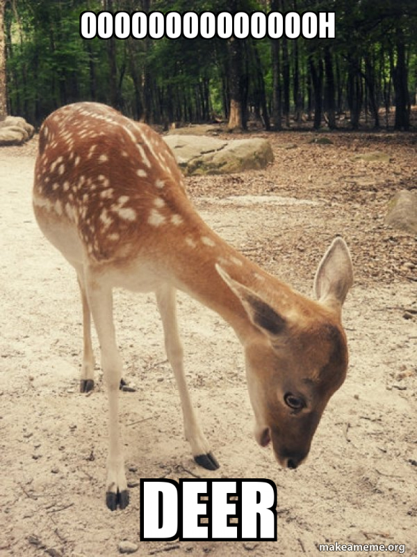 OOOOOOOOOOOOOOH DEER - O M G Deer Meme Generator