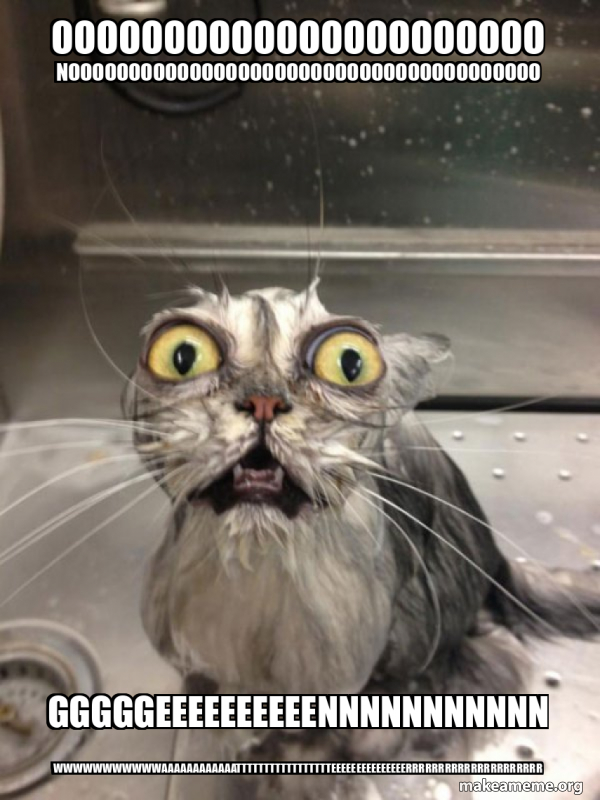 oooooooooooooooooooooo nooooooooooooooooooooooooooooooooooooooo ...