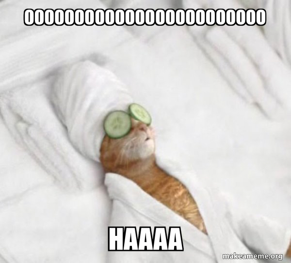 oooooooooooooooooooooooo haaaa - Pampered Cat Meme Meme Generator