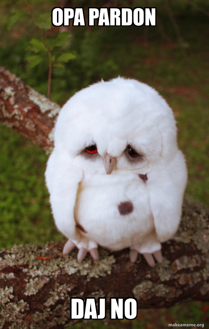 OPA PARDON DAJ NO - Sad Owl Meme Generator