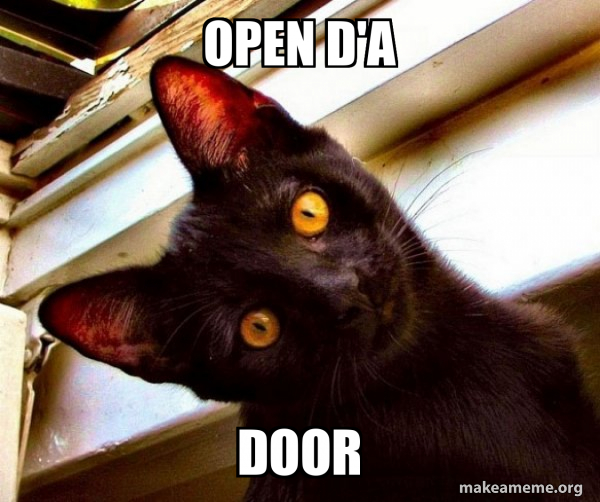 OPEN D'A DOOR - Overly Attached Cat Meme Generator