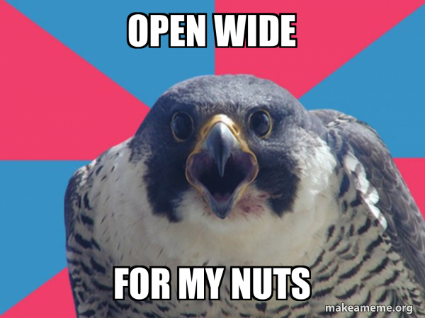 open wide for my nuts - Millennial Falcon Meme Generator