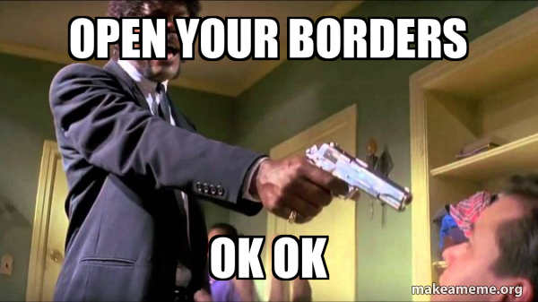 OPEN YOUR BORDERS ok ok - Samuel L. Jackson Say What Meme Generator