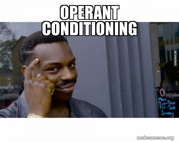 operant conditioning - Roll Safe Black Guy Pointing at His Head Meme ...