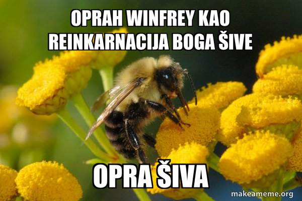 oprah winfrey kao reinkarnacija boga šive opra šiva - Good Guy Bee Meme ...