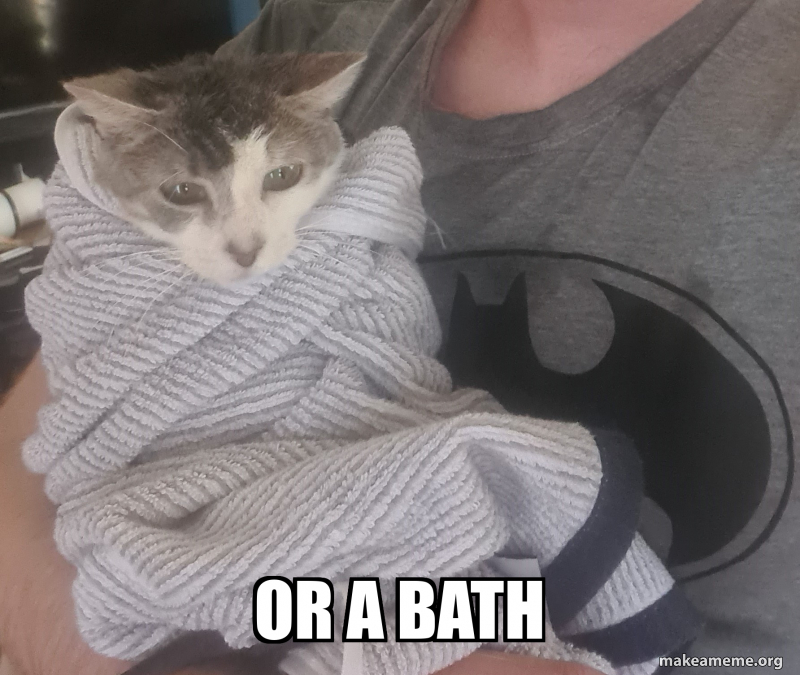 Or a Bath Meme Generator