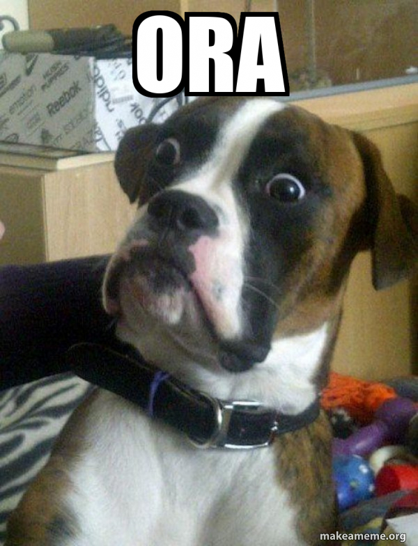 ORA - Skeptical Dog Meme Generator