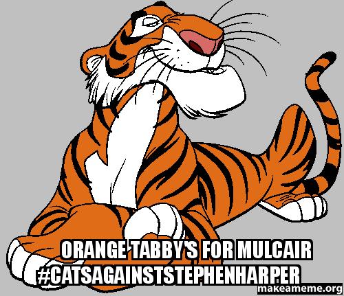 Orange Tabby Cat Memes