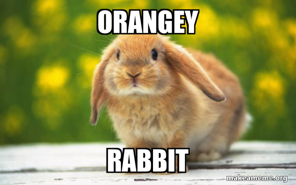 Orangey Rabbit - Regretful Rabbit Meme Generator