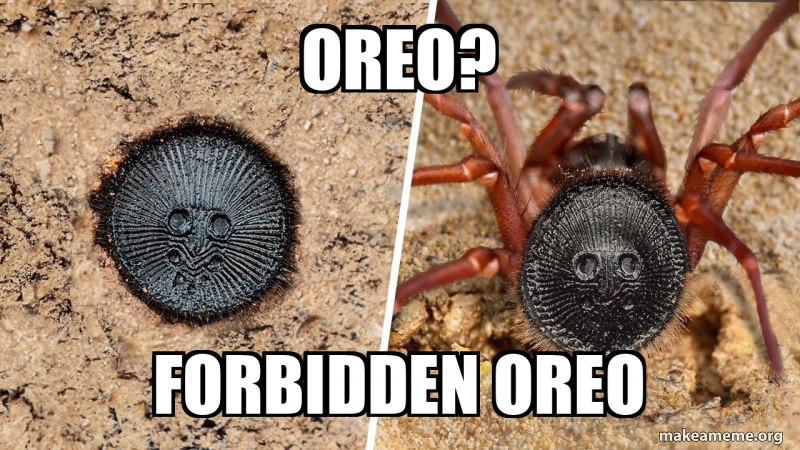 Oreo? Forbidden OReo Meme Generator