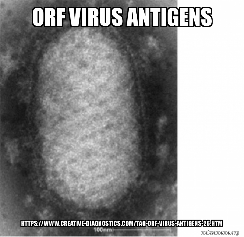 Orf Virus Antigens https://www.creative-diagnostics.com/tag-orf-virus ...