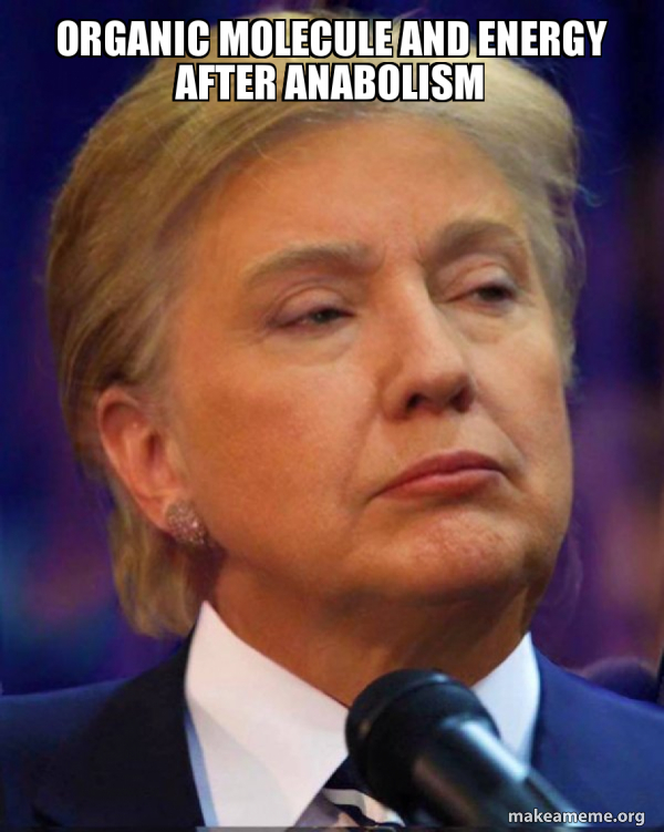 organic molecule and energy after anabolism - Trillary Meme Generator