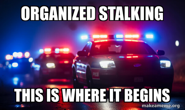 organized stalking this is where it begins Meme Generator