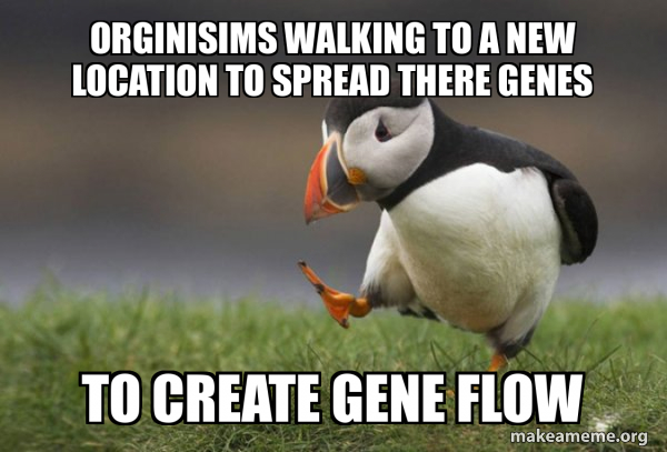 Orginisims walking to a new location to spread there genes to create ...