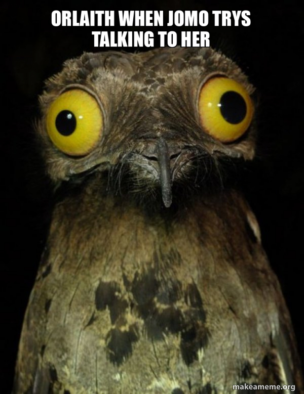 orlaith when jomo trys talking to her - Weird Stuff I do Potoo Meme ...