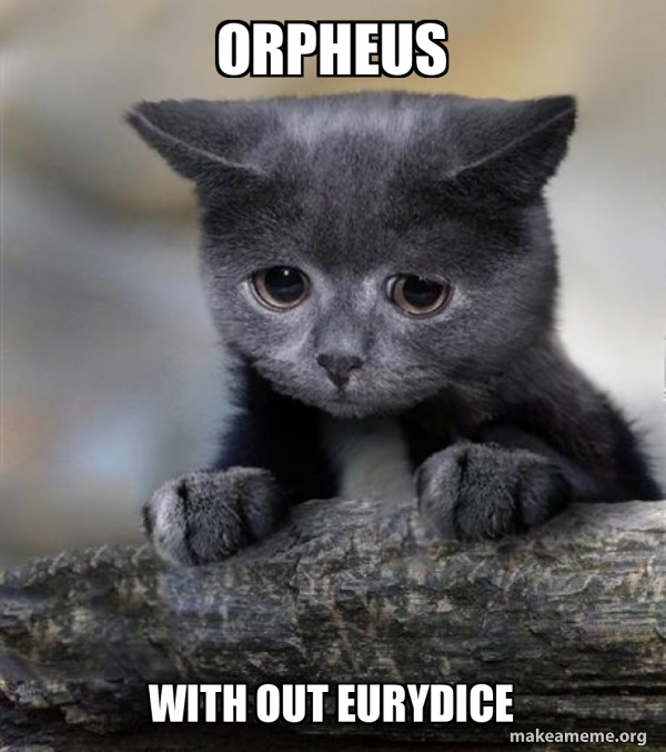 Orpheus With Out Eurydice - Confession Cat Meme Generator