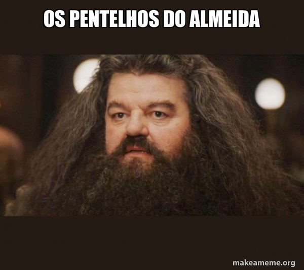 OS PENTELHOS DO ALMEIDA - Hagrid - I should not have said that Meme ...