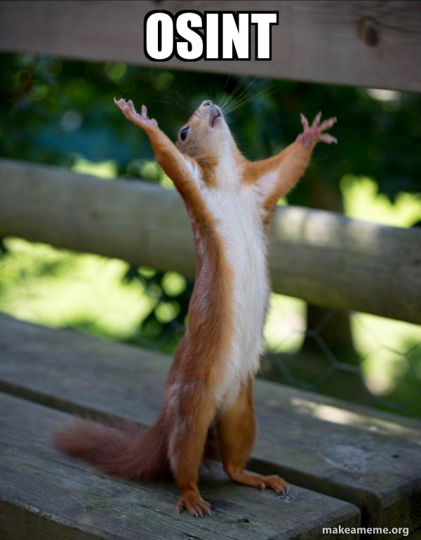 OSINT - Happy Squirrel Meme Generator