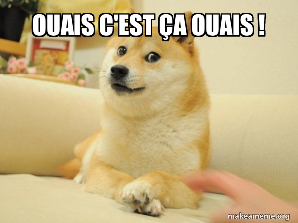 OUAIS C'EST ÇA OUAIS ! - Doge Meme Generator