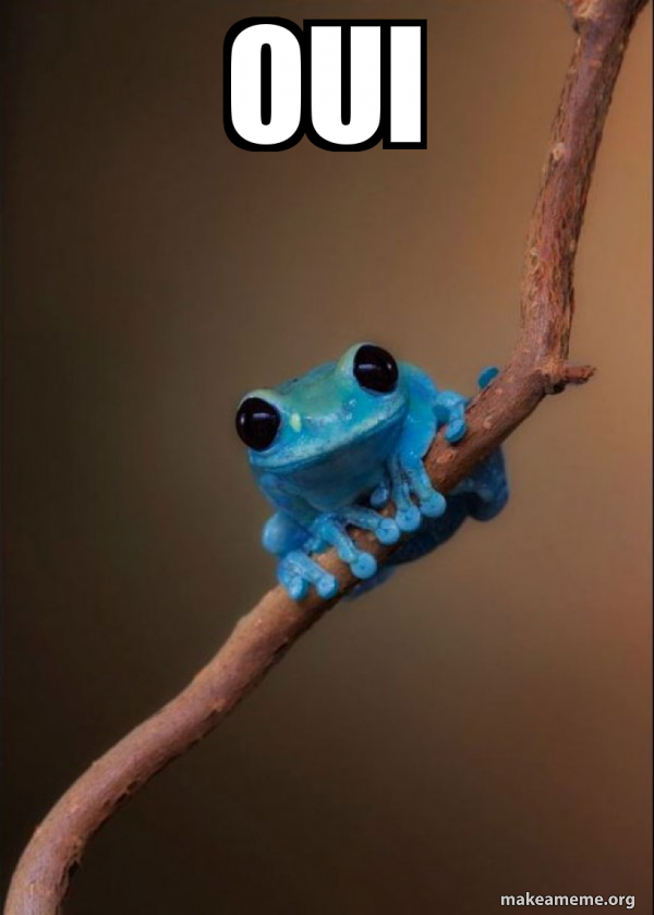 Fun Fact Frog Memes 7 Little Words This Frog Was Ribbit Ing News!