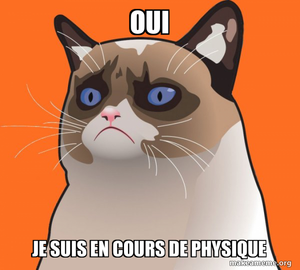 Oui Je suis en cours de Physique - Cartoon Grumpy Cat Meme Generator