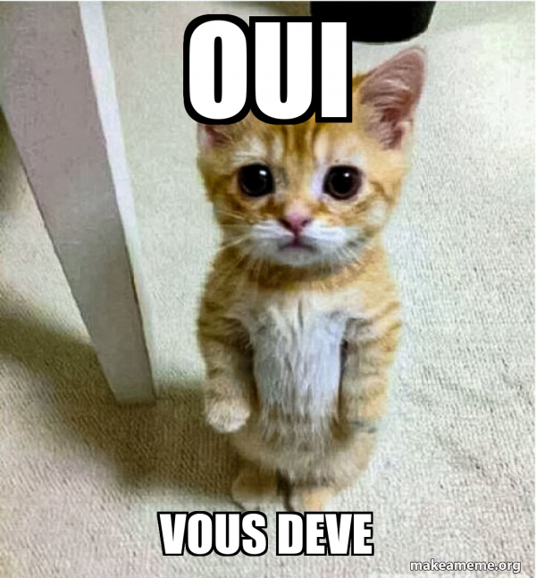 OUI VOUS DEVE - Cute Cat Standing Meme Generator