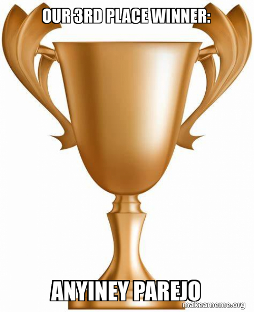 our 3rd place winner: anyiney parejo Meme Generator