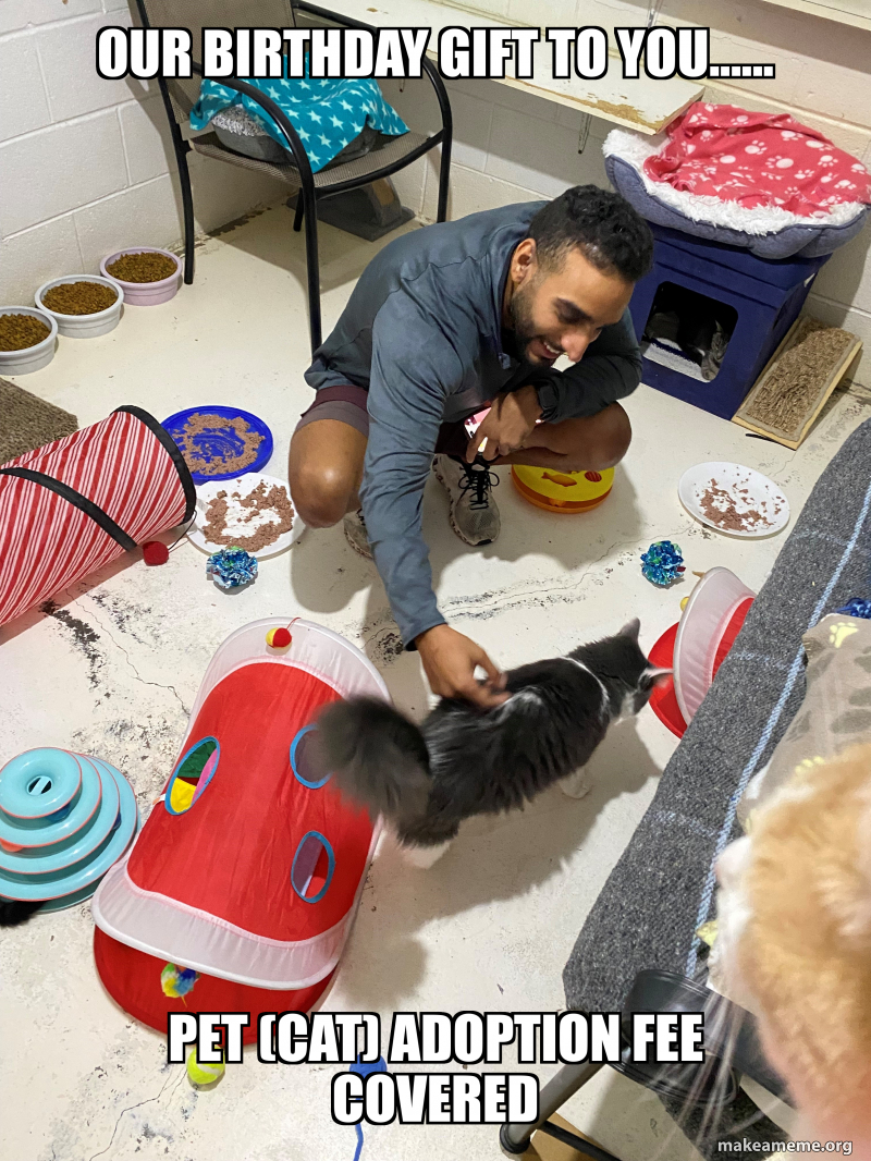 our birthday gift to you...... pet (Cat) adoption fee covered Meme ...