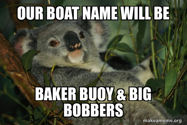 Our boat name will be Baker Buoy & Big Bobbers - Laid Back Koala Meme ...