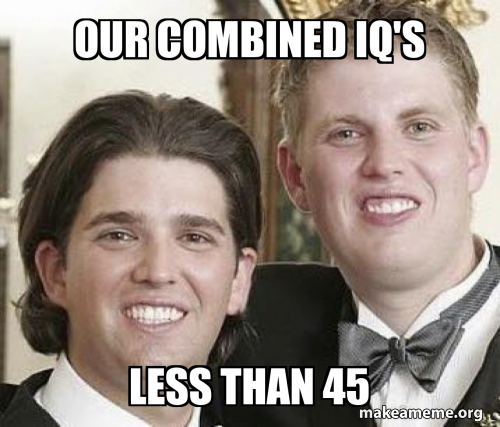 our combined iq's less than 45 Meme Generator