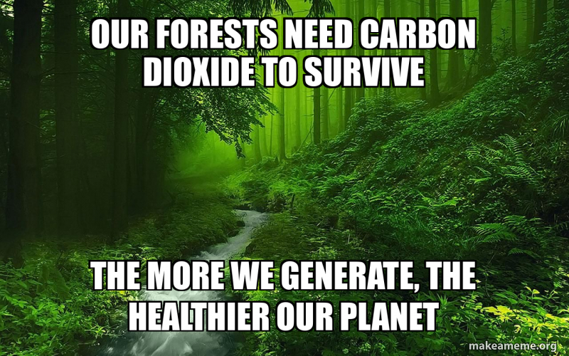 Our forests need carbon dioxide to survive The more we generate, the ...