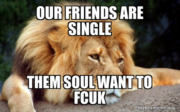 our friends are single them soul want to fcuk - Confession Lion Meme ...