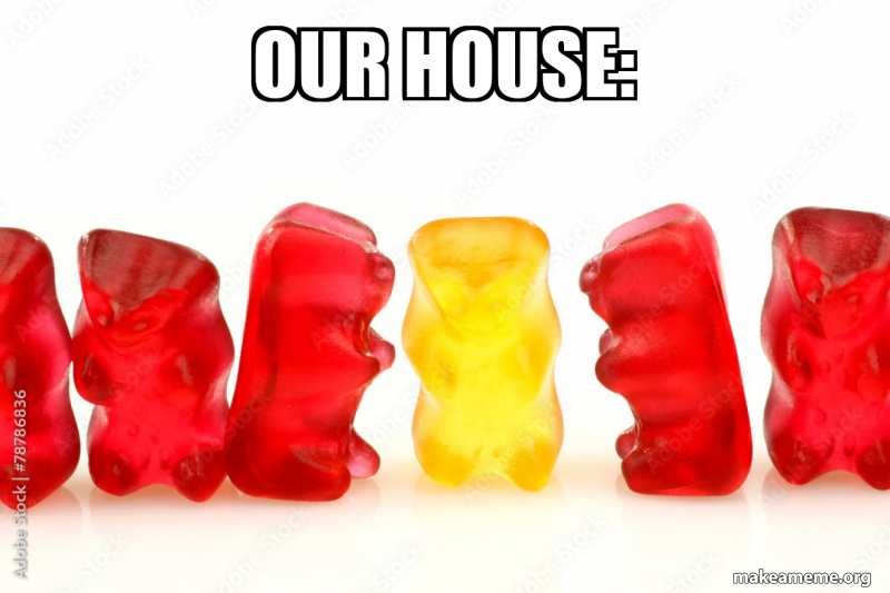our house: Meme Generator