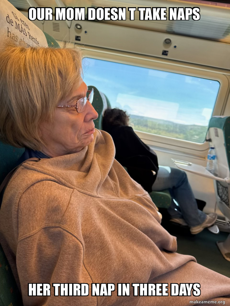 Our mom doEsn t take naps Her third nap in three days - Mom Meme Generator