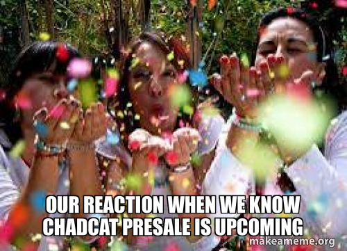 Our reaction when we know CHADCAT presale is upcoming Meme Generator