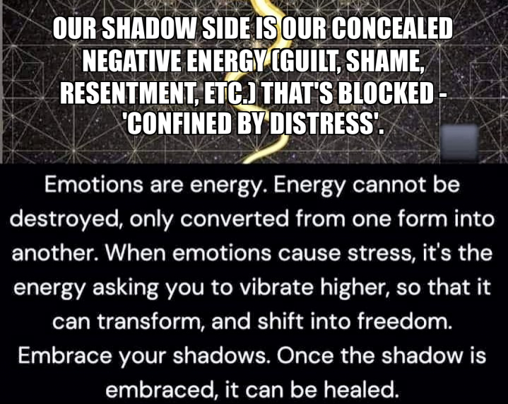 Our shadow side is our concealed negative energy (guilt, shame ...
