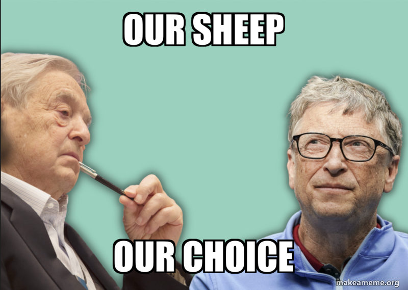 our sheep our choice Meme Generator