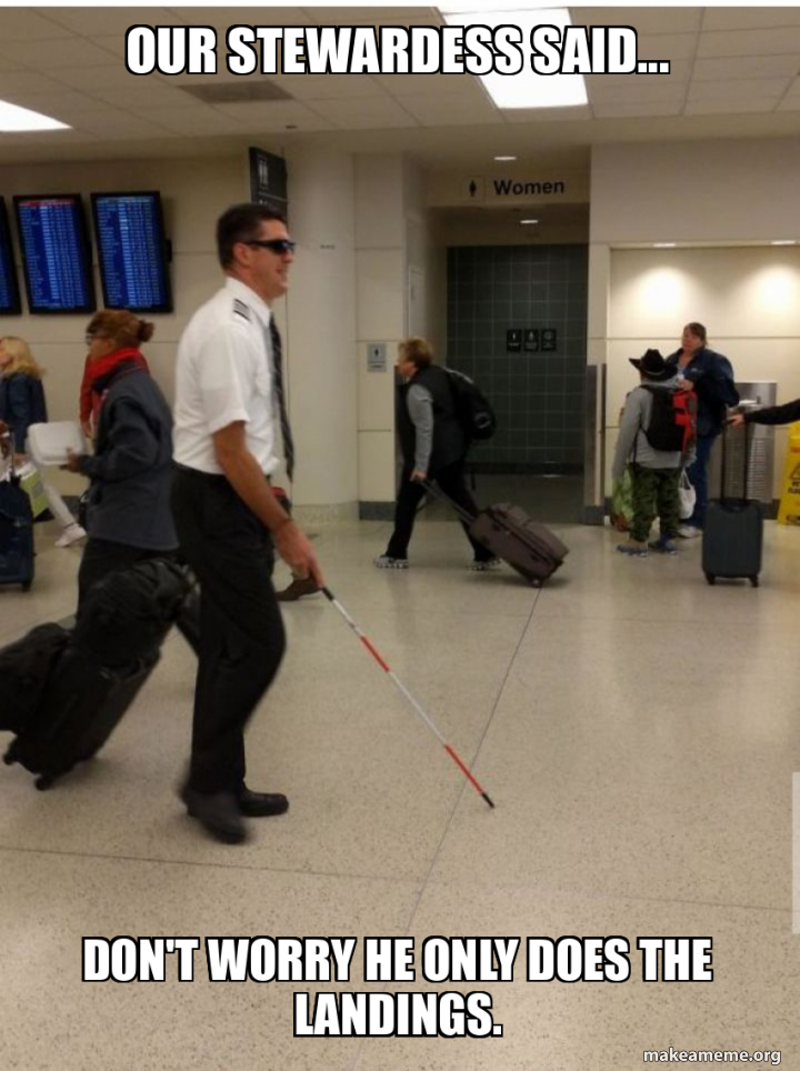 our stewardess said... don't worry he only does the landings. Meme ...