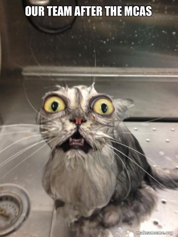 Our team after the MCAS - Cat bath Meme Generator