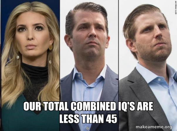 our total combined iq's are less than 45 Meme Generator