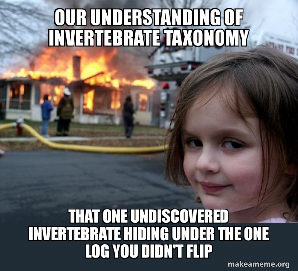 Our understanding of Invertebrate Taxonomy That one undiscovered ...