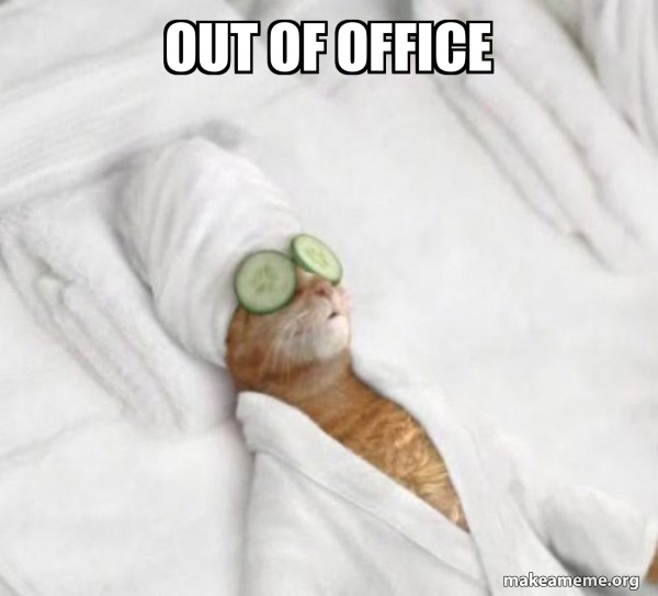 Out of office - Pampered Cat Meme Meme Generator
