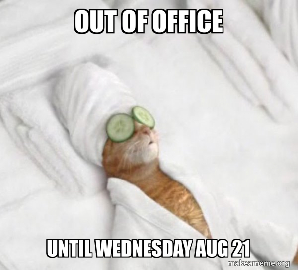 out of office until wednesday aug 21 - Pampered Cat Meme Meme Generator