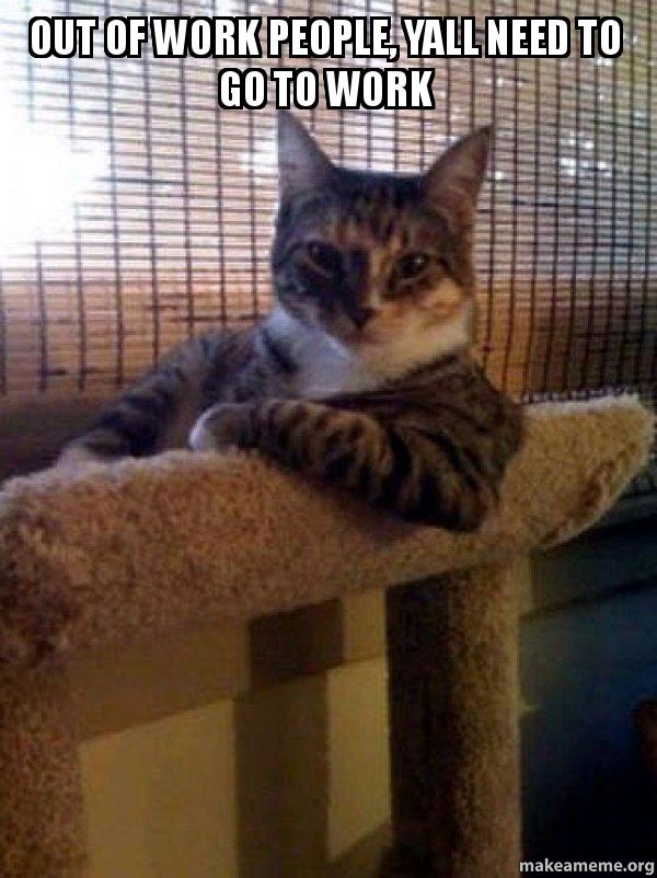 Out of work people, yall need to go to work - The Most Interesting Cat ...