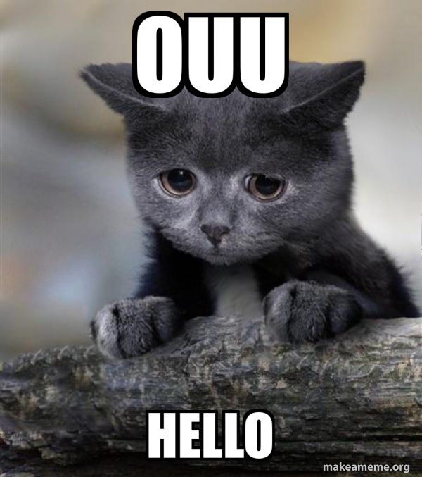 ouu hello - Confession Cat Meme Generator
