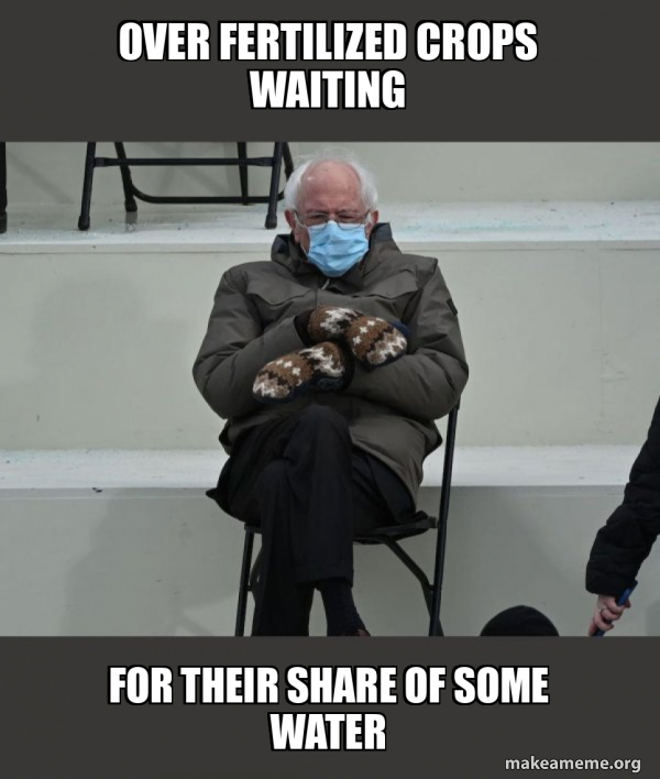 Over Fertilized Crops Waiting For Their Share Of Some Water - Bernie ...